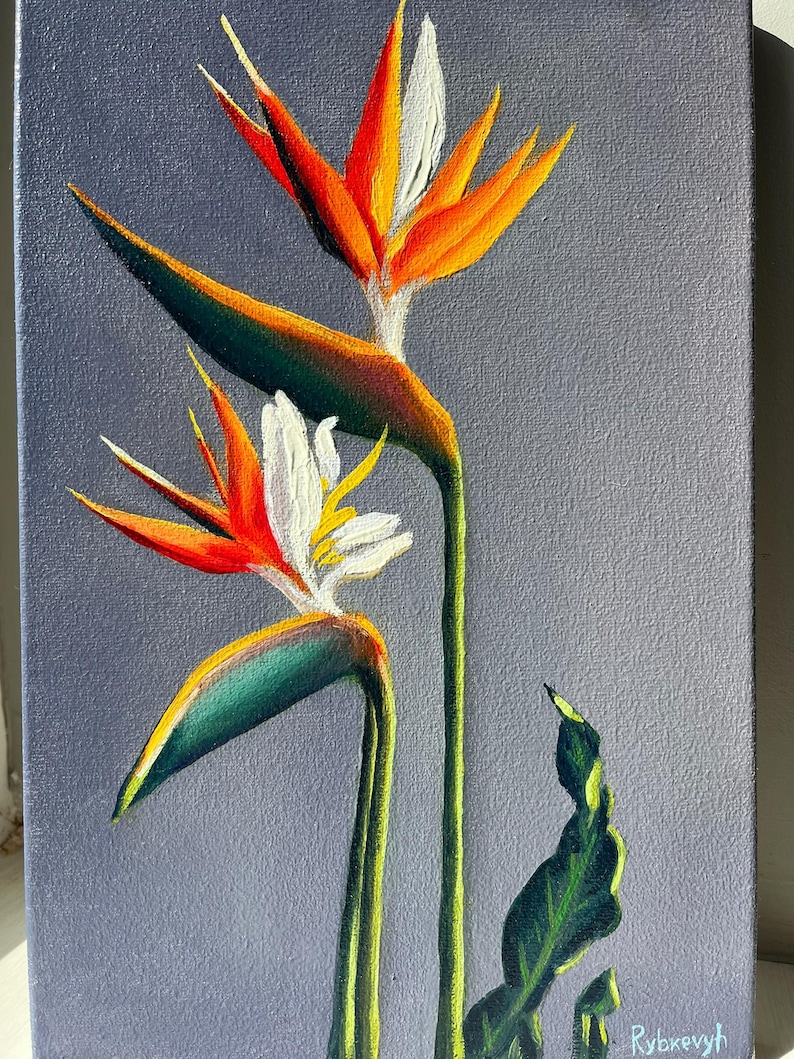 Strelitzia Art is an Exotic Flower - Etsy