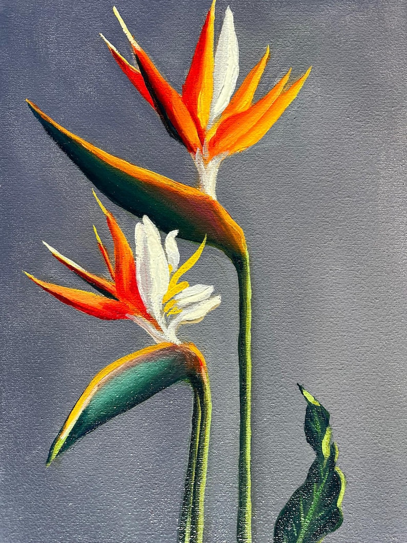 Strelitzia Art is an Exotic Flower - Etsy