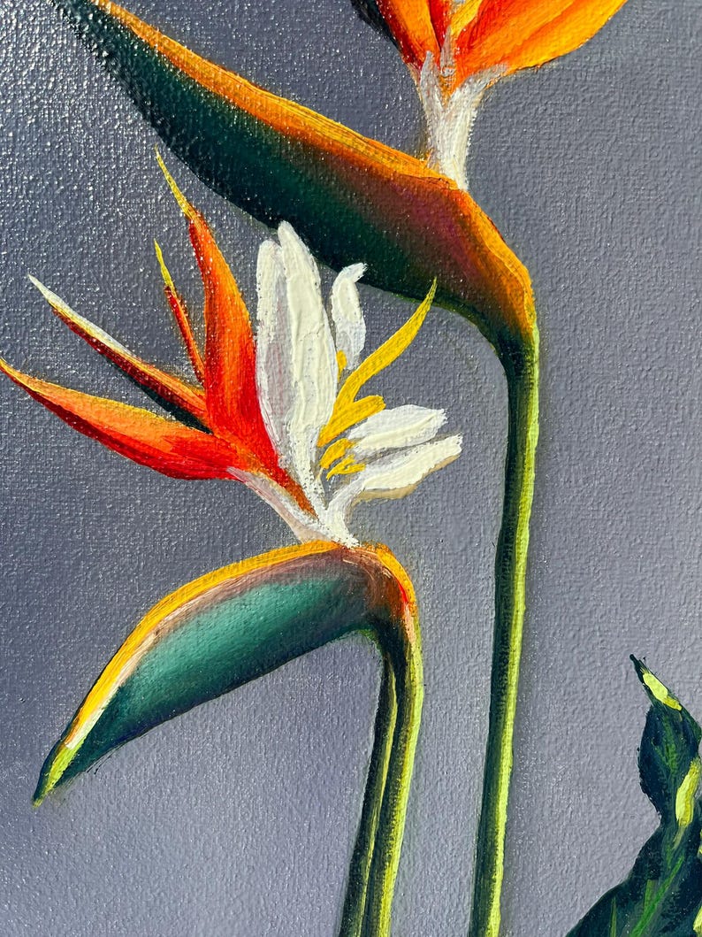 Strelitzia Art is an Exotic Flower - Etsy