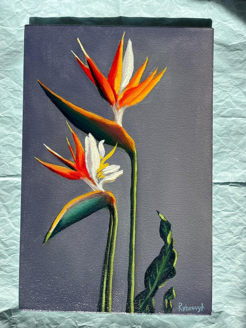 Strelitzia Art is an Exotic Flower - Etsy