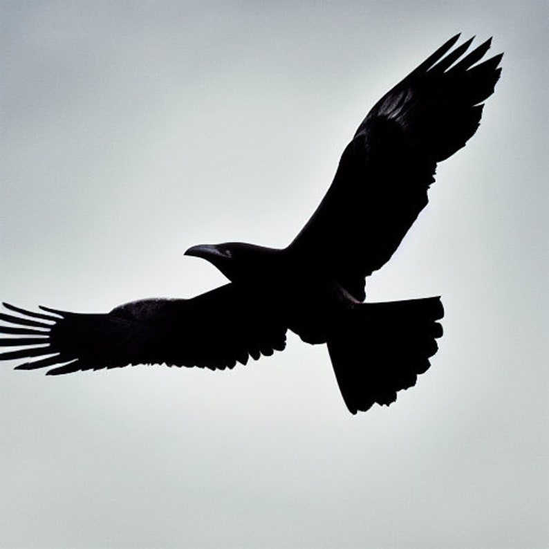 100 Crows Images Photos for Dark Creepy Journaling Scrapbooking Pk1 - Etsy