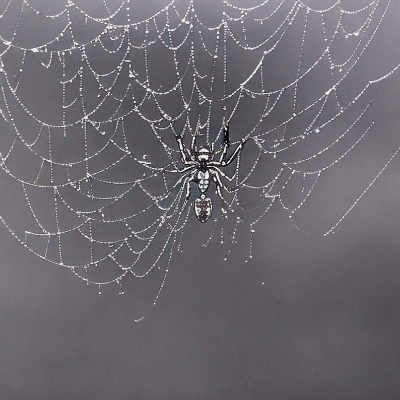 100 Spiders & Webs Images Photos for Dark Creepy Journaling ...