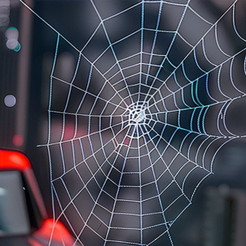 100 Spiders & Webs Images Photos for Dark Creepy Journaling ...