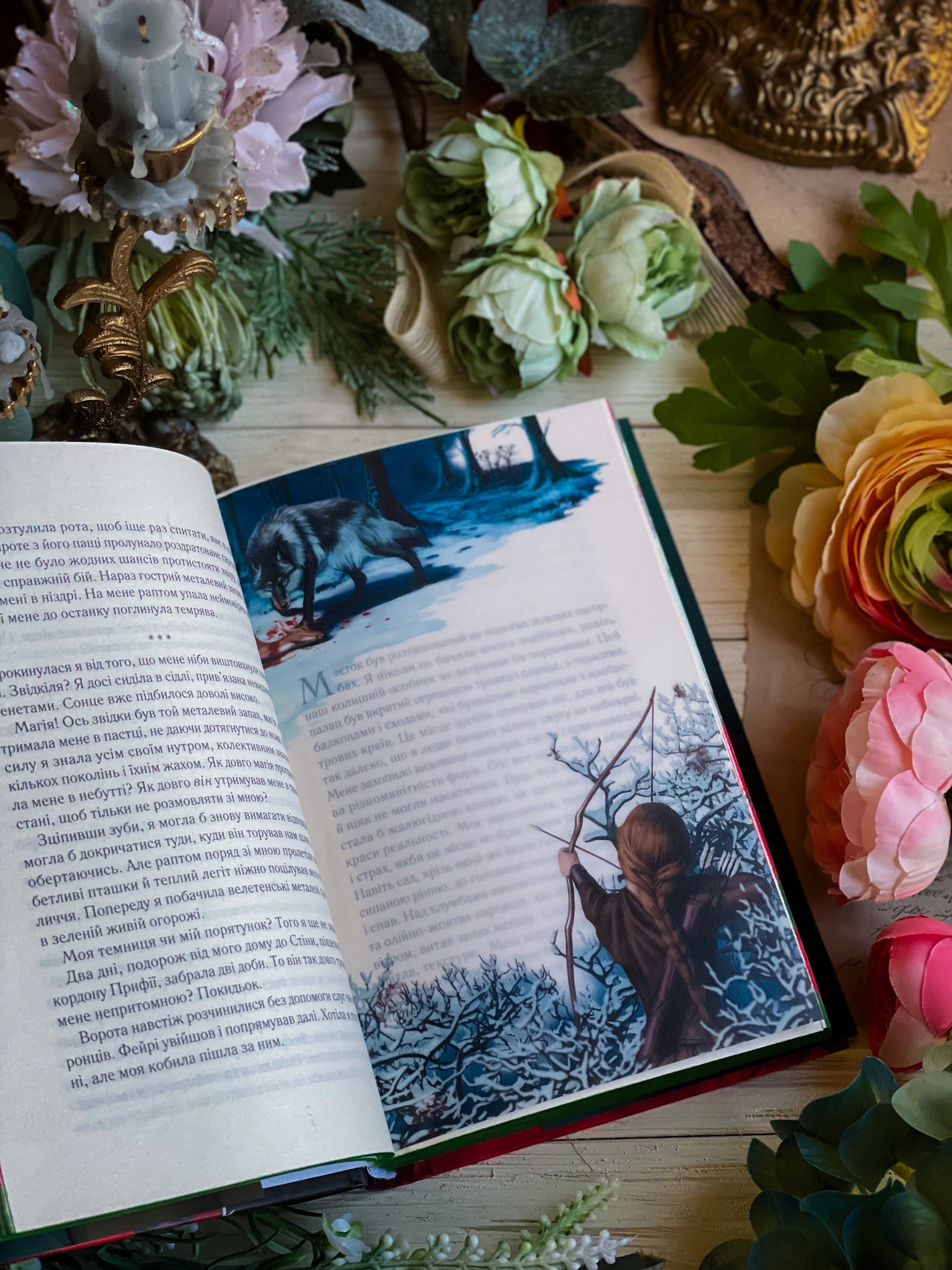 A Court of Thorns and Roses Overlays - Set of 4 - Dimensions 14,8 х 23 ...