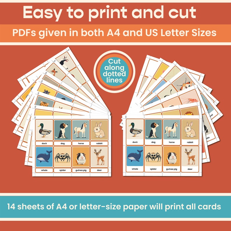 51 Editable Animal Flashcards, Homeschool Montessori Materials ...