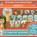 15 Feed the Animal Flisat Insert Bundle, Counting to 20 Activity, Home ...
