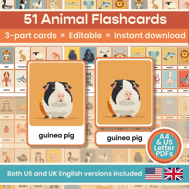 5 Full Sets of Pre School Flashcards: 51 Animal, 26 Alphabet, 66 ...