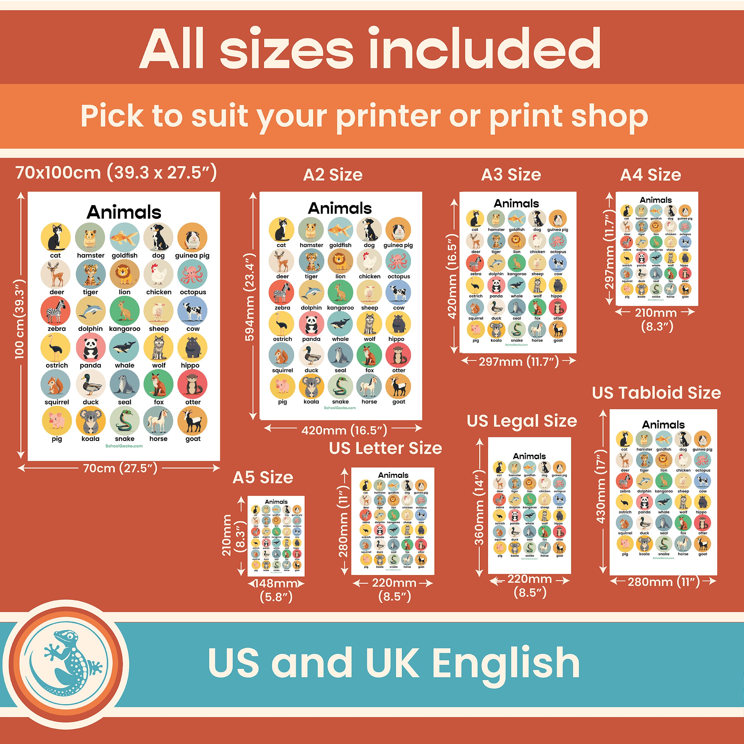Animals Colour Poster Printable, Homeschool Montessori Materials ...