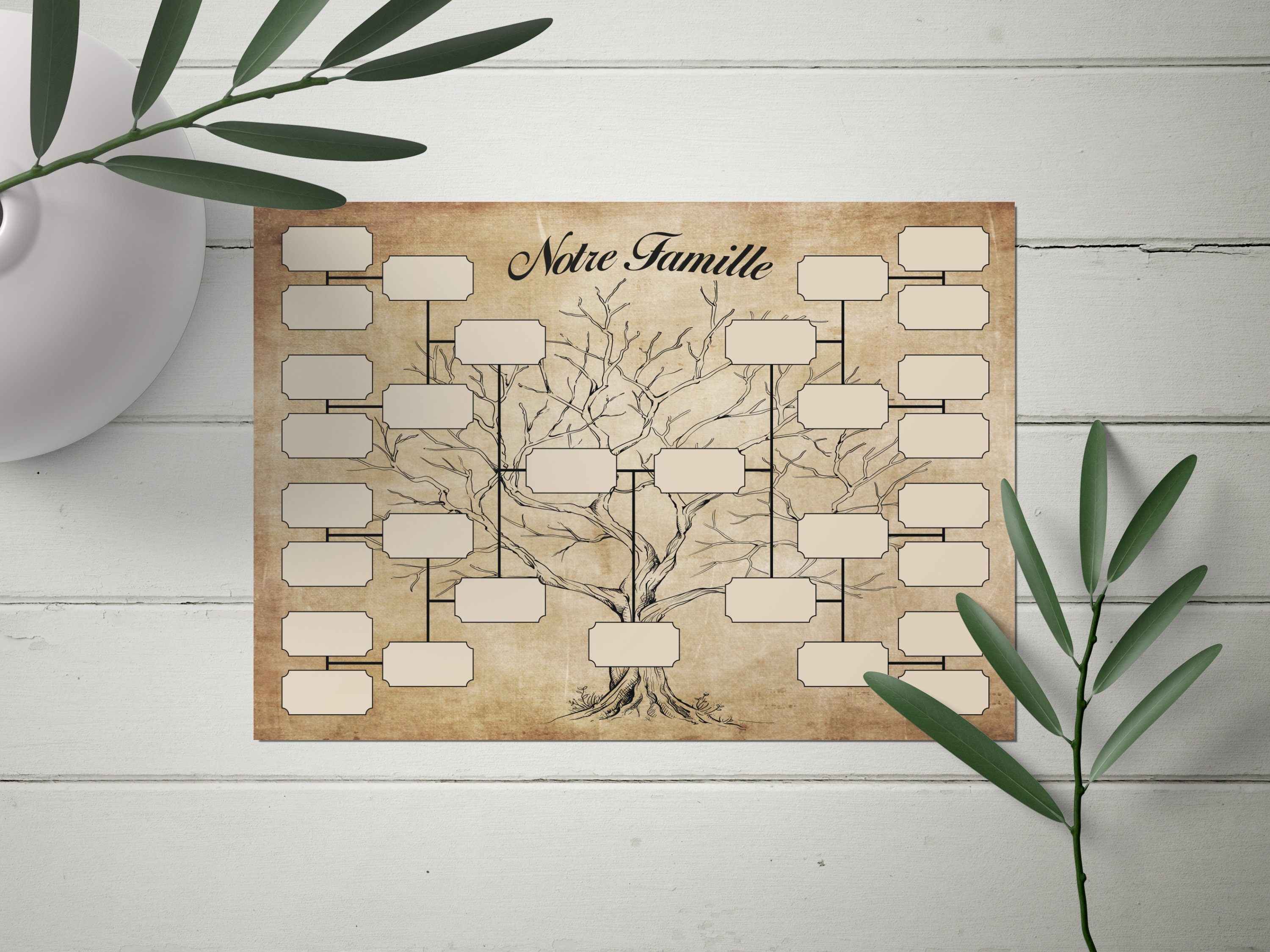 Family Tree | Family Tree Template | Genealogical Table | Genealogy ...