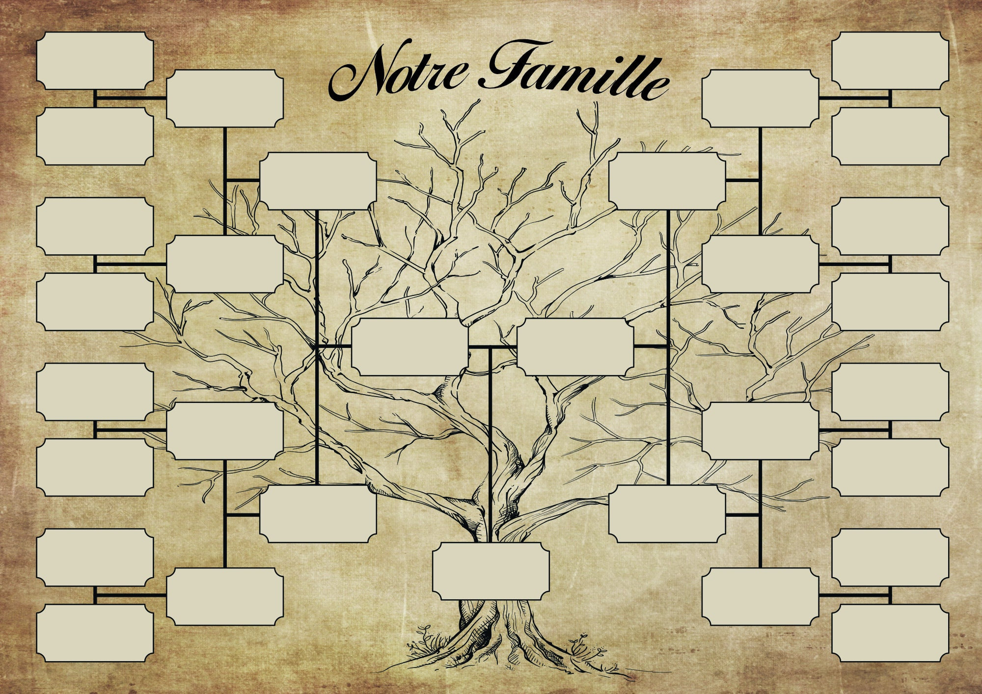 Family Tree | Family Tree Template | Genealogical Table | Genealogy ...