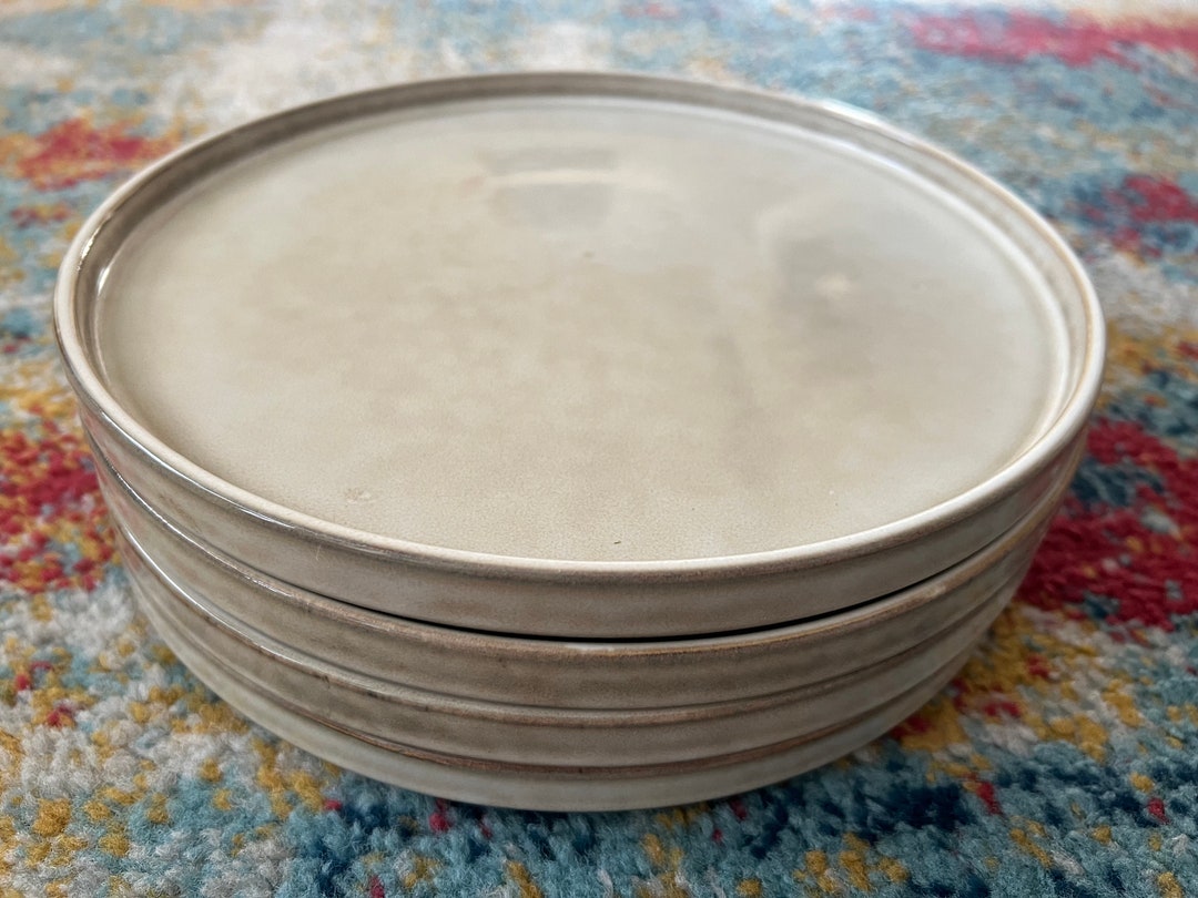 Modern Stoneware Dinner Plates Set/ 10''/ 8.5 / Set of 4/ Reactive ...