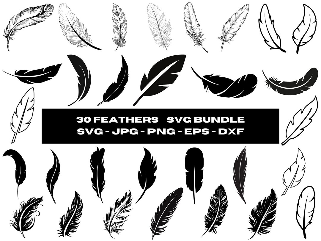 Feather Svg Bundle, Feather Birds Svg, Dxf, Png, Jpg, Feathers ...