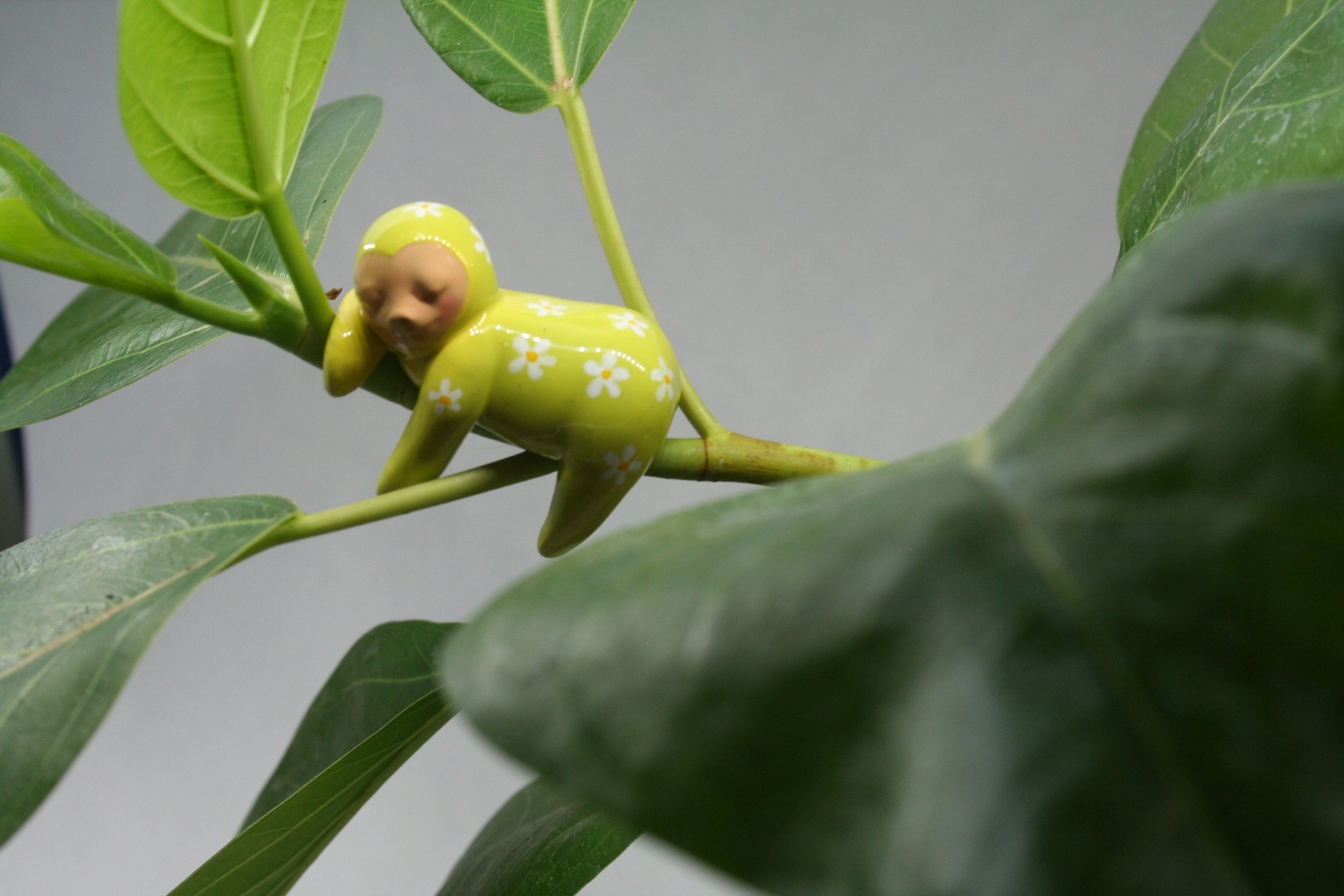 Sleepy Buddy for Plants and Desk - Etsy