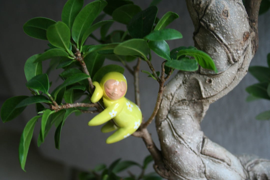 Sleepy Buddy for Plants and Desk - Etsy