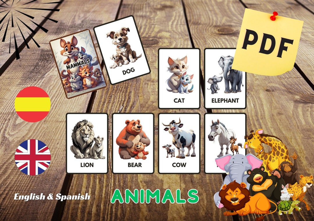 40 Tarjetas didácticas de animales divertidas para la - Etsy México