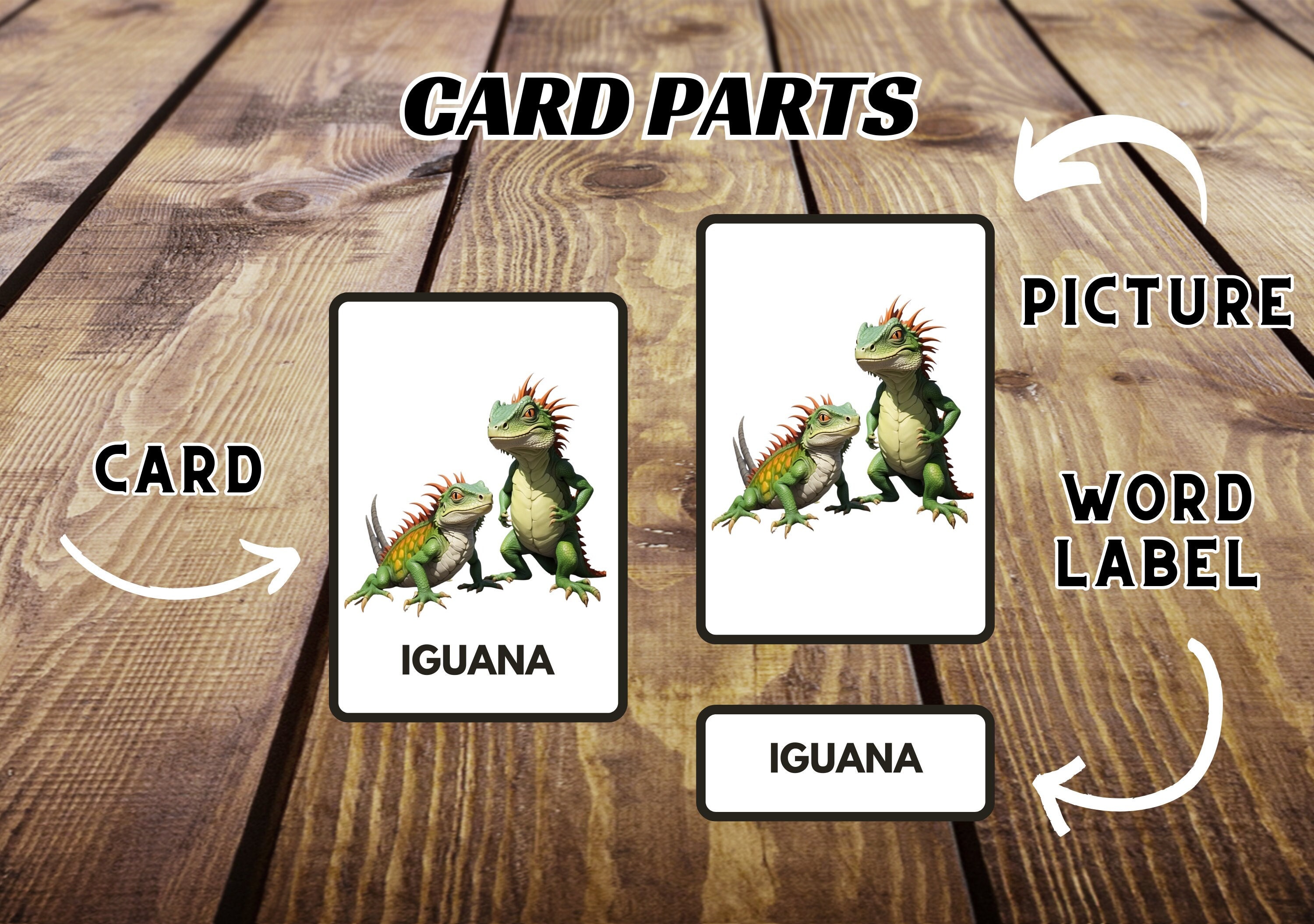 40 Tarjetas didácticas de animales divertidas para la - Etsy México