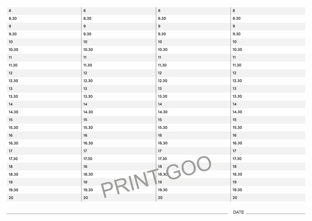 Daily Planner, 30-minute Interval Planner Template, Appointment Sheet ...