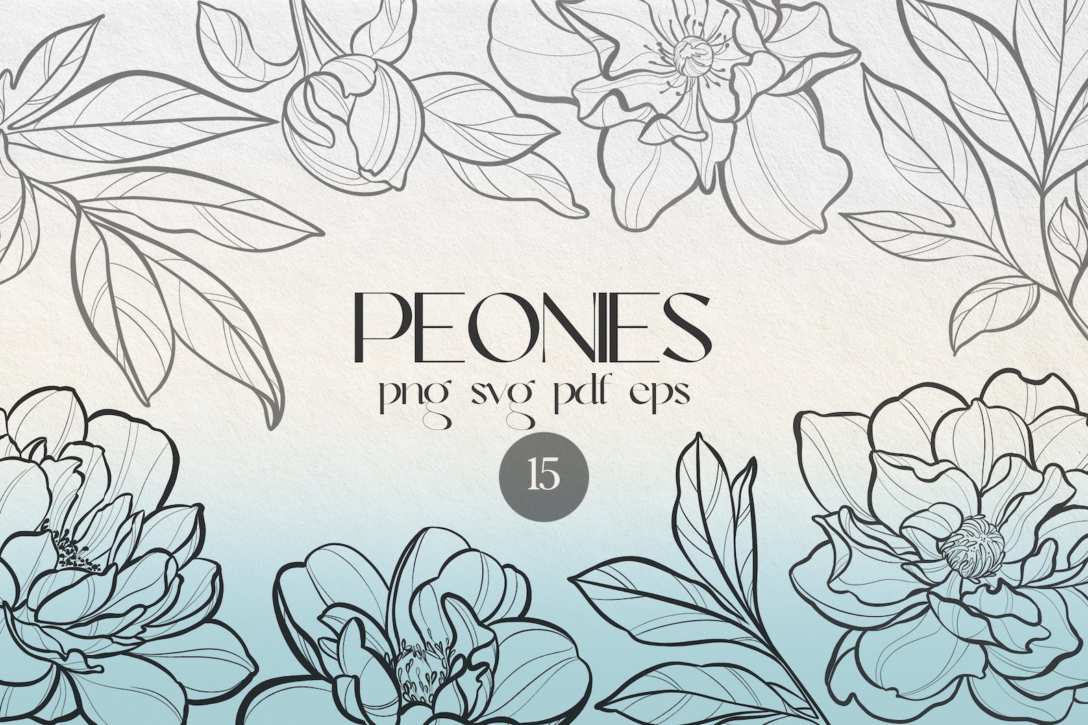 Peonies SVG Line Art PNG, EPS, Outline Peony Flower, Peonies Clipart ...