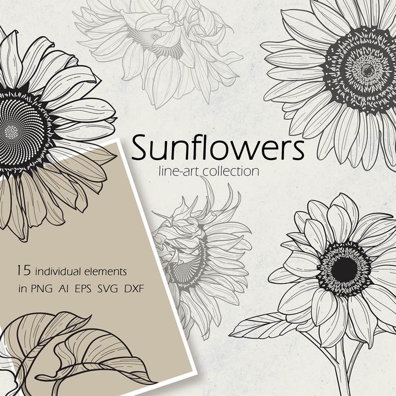 Sunflower Svg Line Art Collection. PNG, SVG, Ai, Dxf, Eps Files, Floral ...