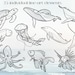 Sea Creatures Line Art SVG, PNG, and EPS Graphics. Marine Animals ...