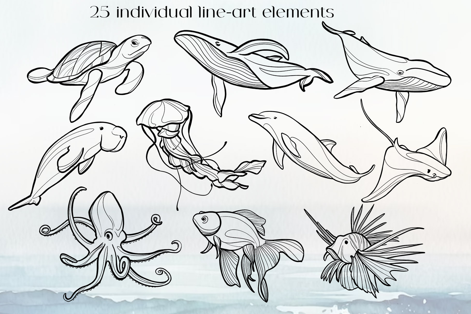 Sea Creatures Line Art SVG, PNG, and EPS Graphics. Marine Animals ...