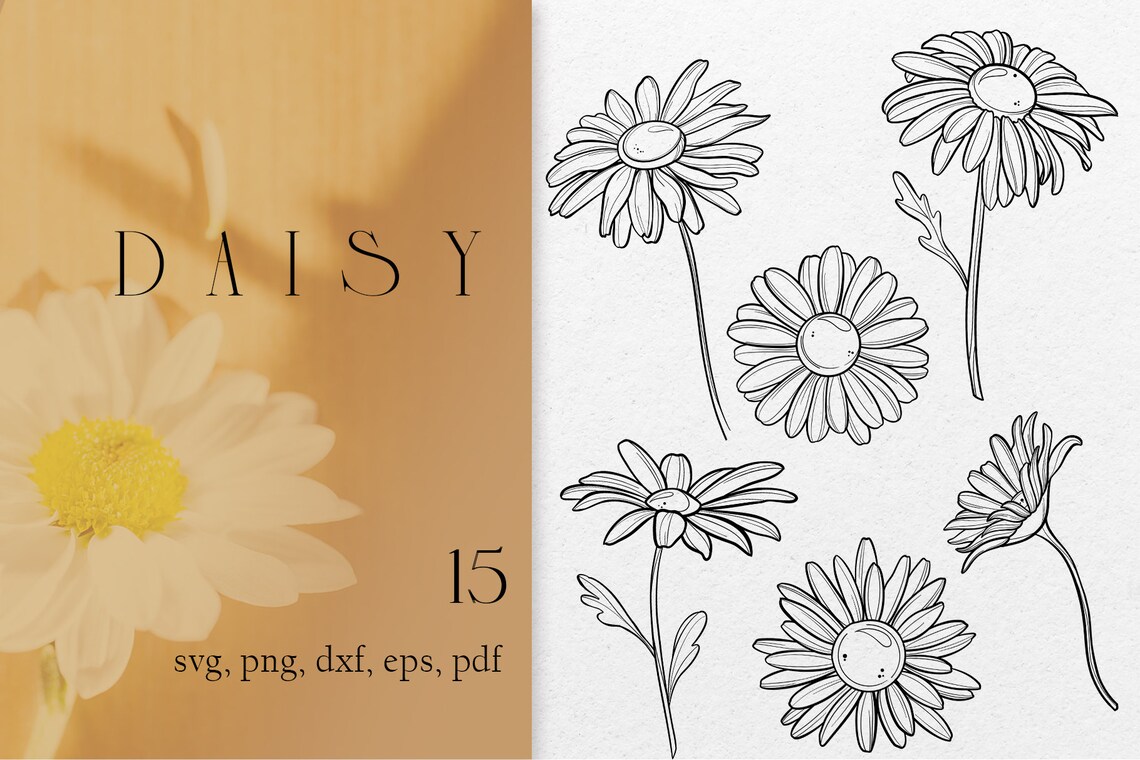 Daisy SVG, PNG, DXF, Eps, Pdf, Flower Svg Files, Summer Floral Svg ...