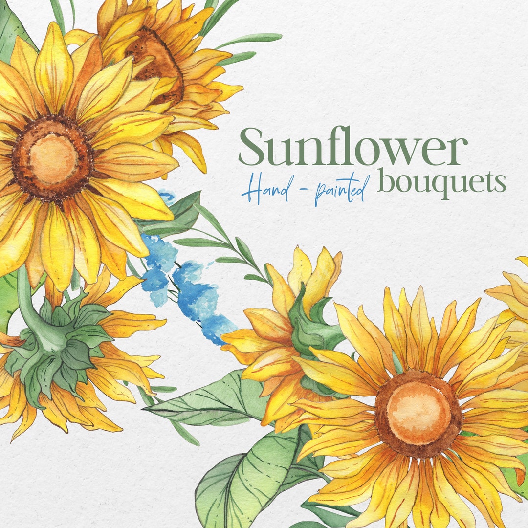 Watercolor Sunflower Bouquets PNG, Hand-painted Original Sunflower ...