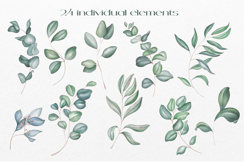 Watercolor Eucalyptus Clipart, Green Leaves Clipart, Wedding Greenery ...