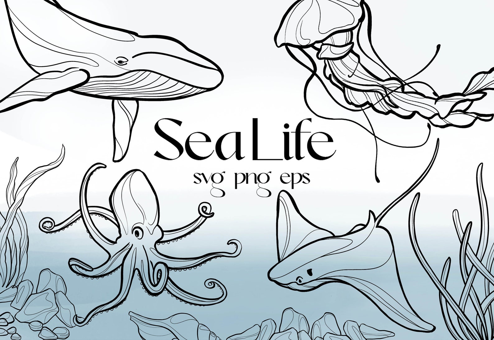 Sea Creatures Line Art SVG, PNG, and EPS Graphics. Marine Animals ...