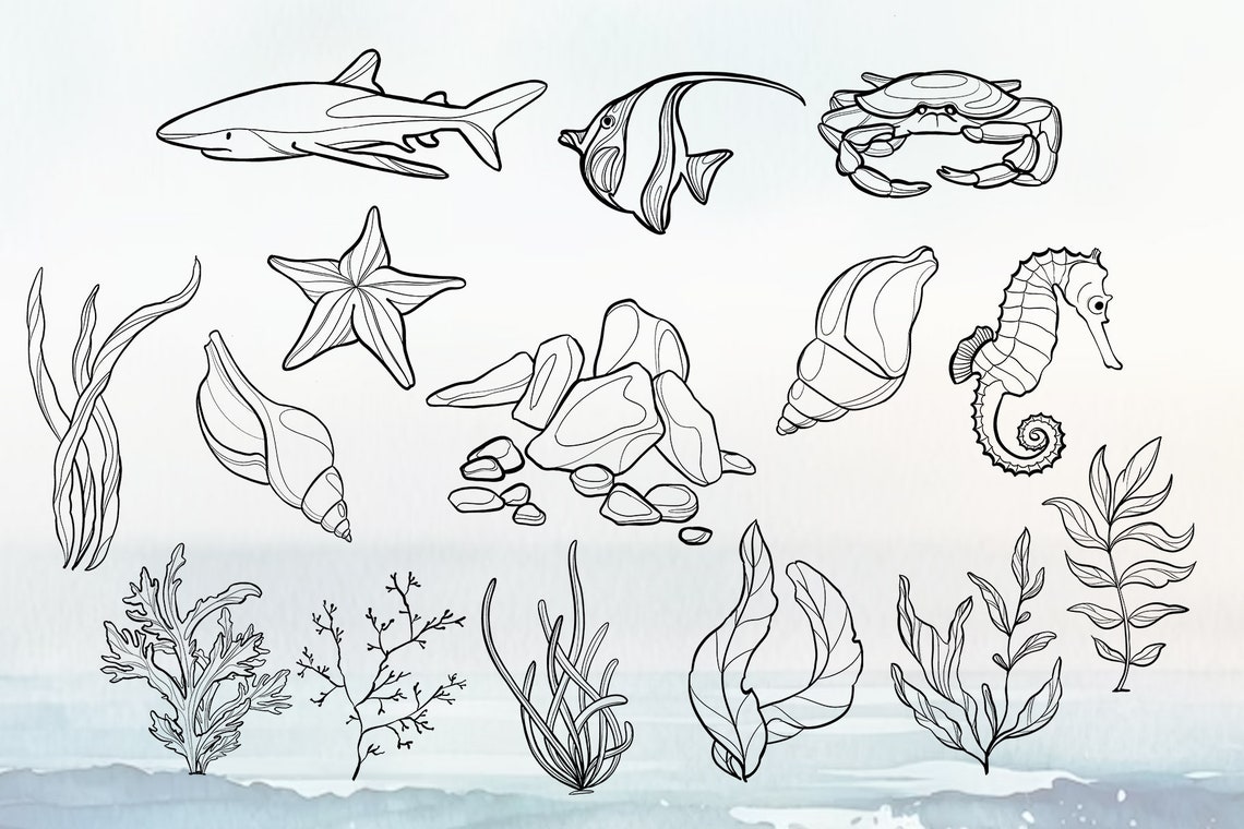 Sea Creatures Line Art SVG, PNG, and EPS Graphics. Marine Animals ...