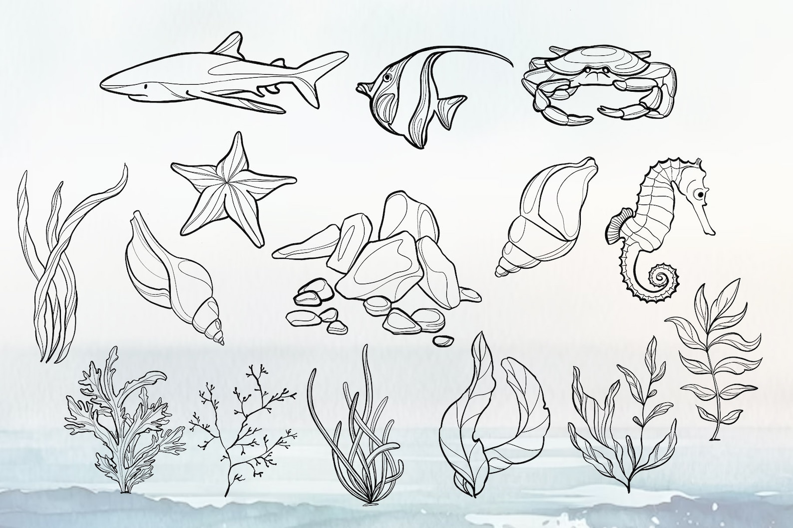 Sea Creatures Line Art SVG, PNG, and EPS Graphics. Marine Animals ...