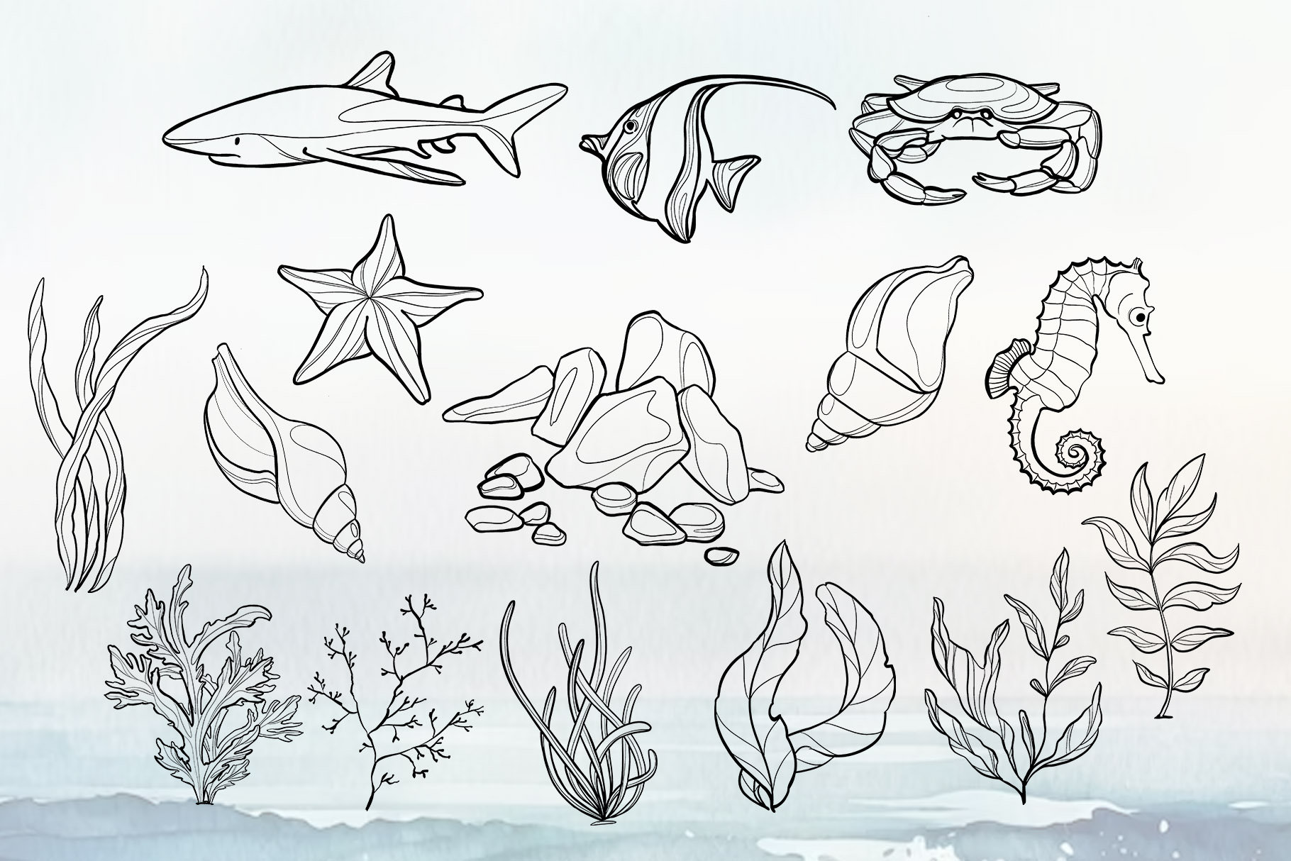 Sea Creatures Line Art SVG, PNG, and EPS Graphics. Marine Animals ...