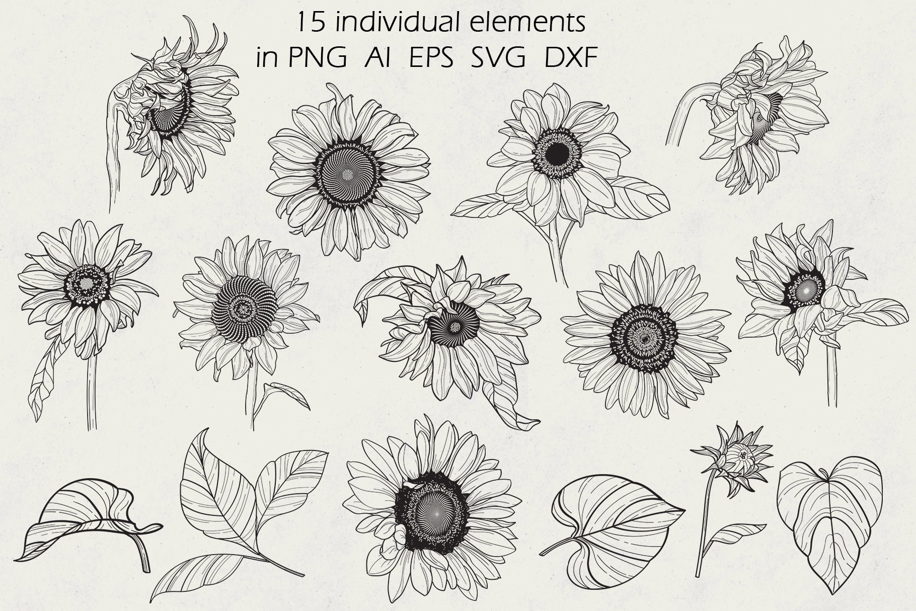 Sunflower Svg Line Art Collection. PNG, SVG, Ai, Dxf, Eps Files, Floral ...