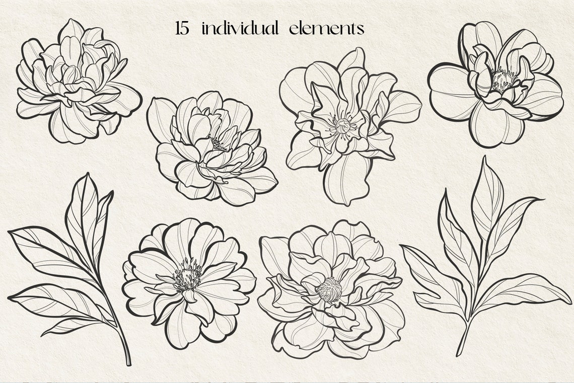 Peonies SVG Line Art PNG, EPS, Outline Peony Flower, Peonies Clipart ...