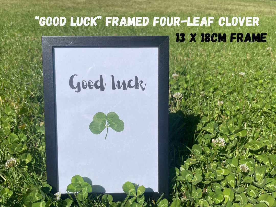 Good Luck Framed Four Leaf Clover | Anniversary | Engagement | Wedding ...