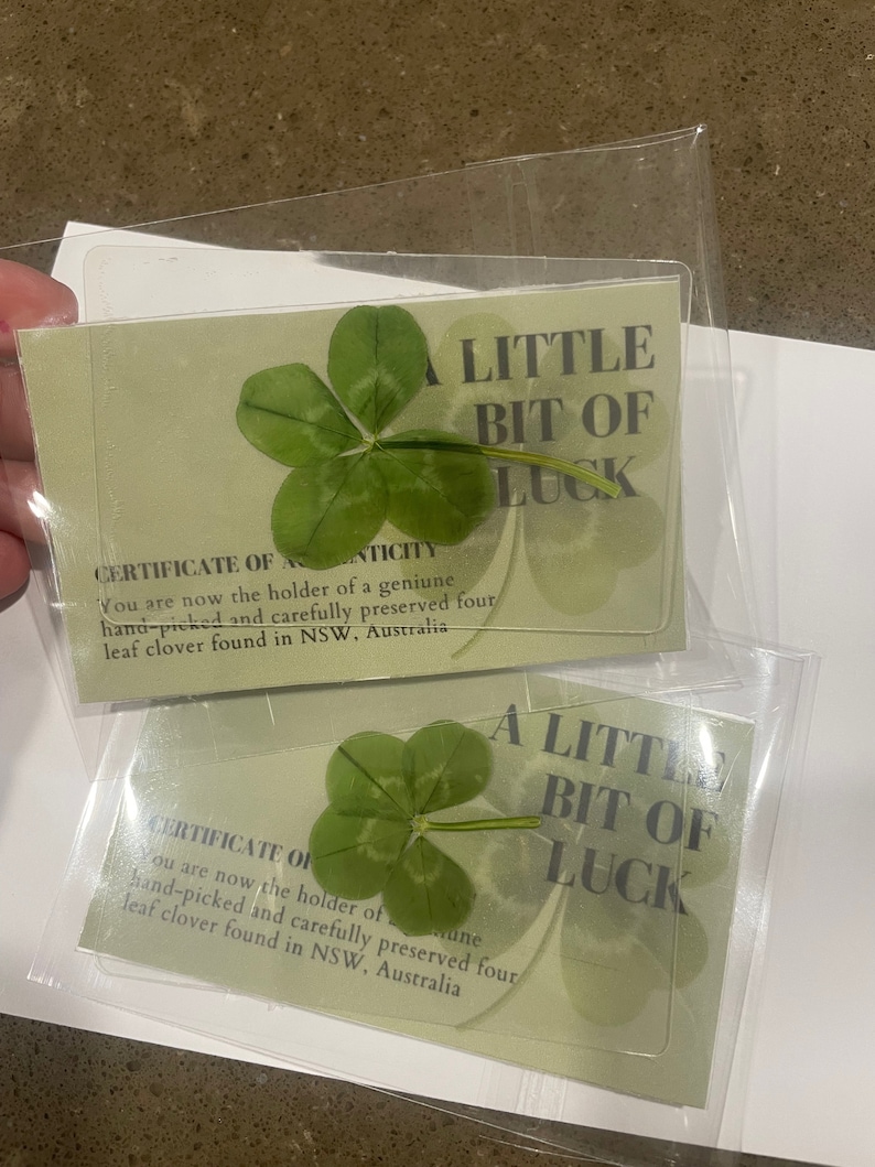 Genuine Four Leaf Clover Shamrock 4 Leaf Clover Wedding Favours ...