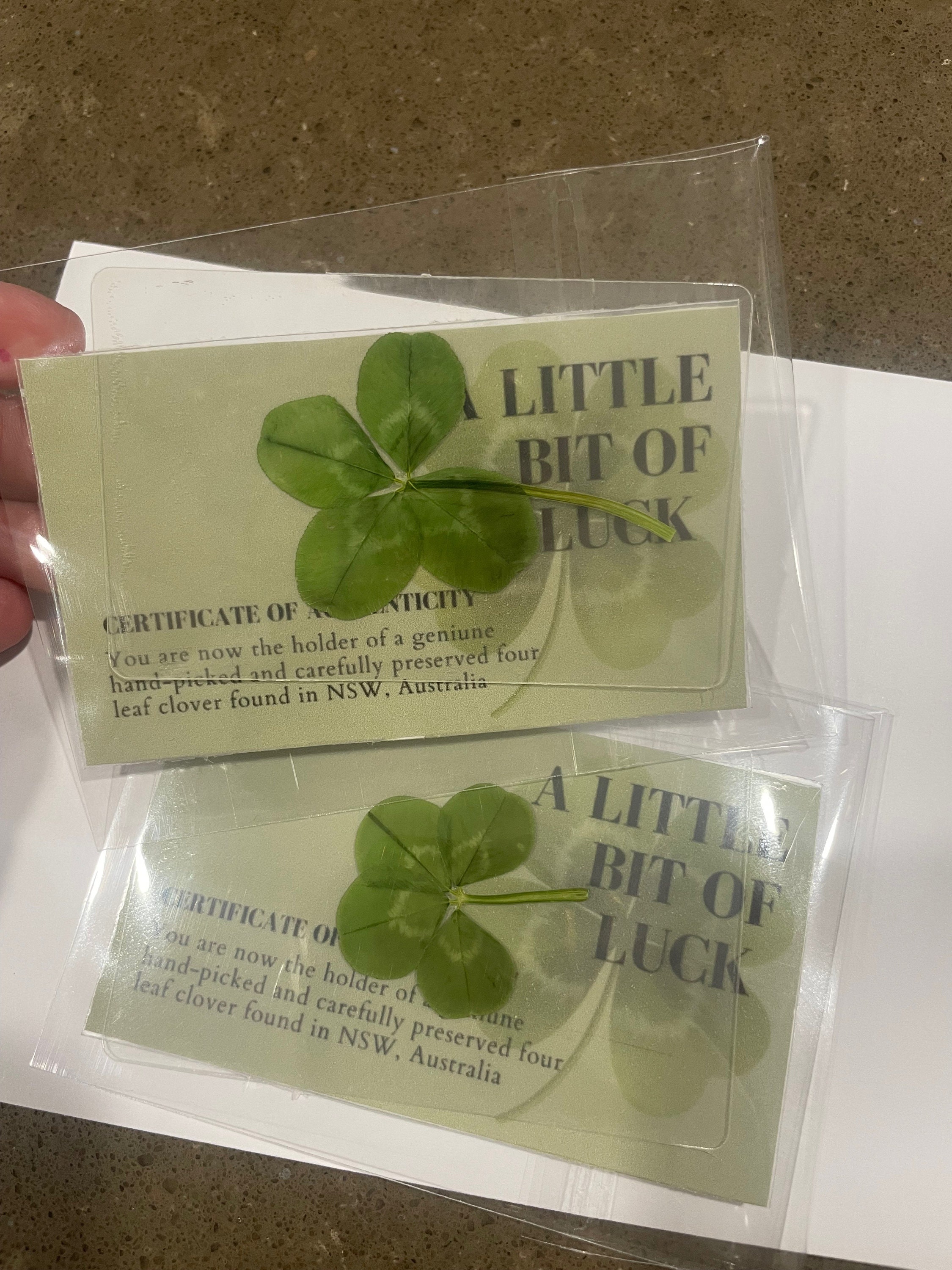 Genuine Four Leaf Clover Shamrock 4 Leaf Clover Wedding Favours ...
