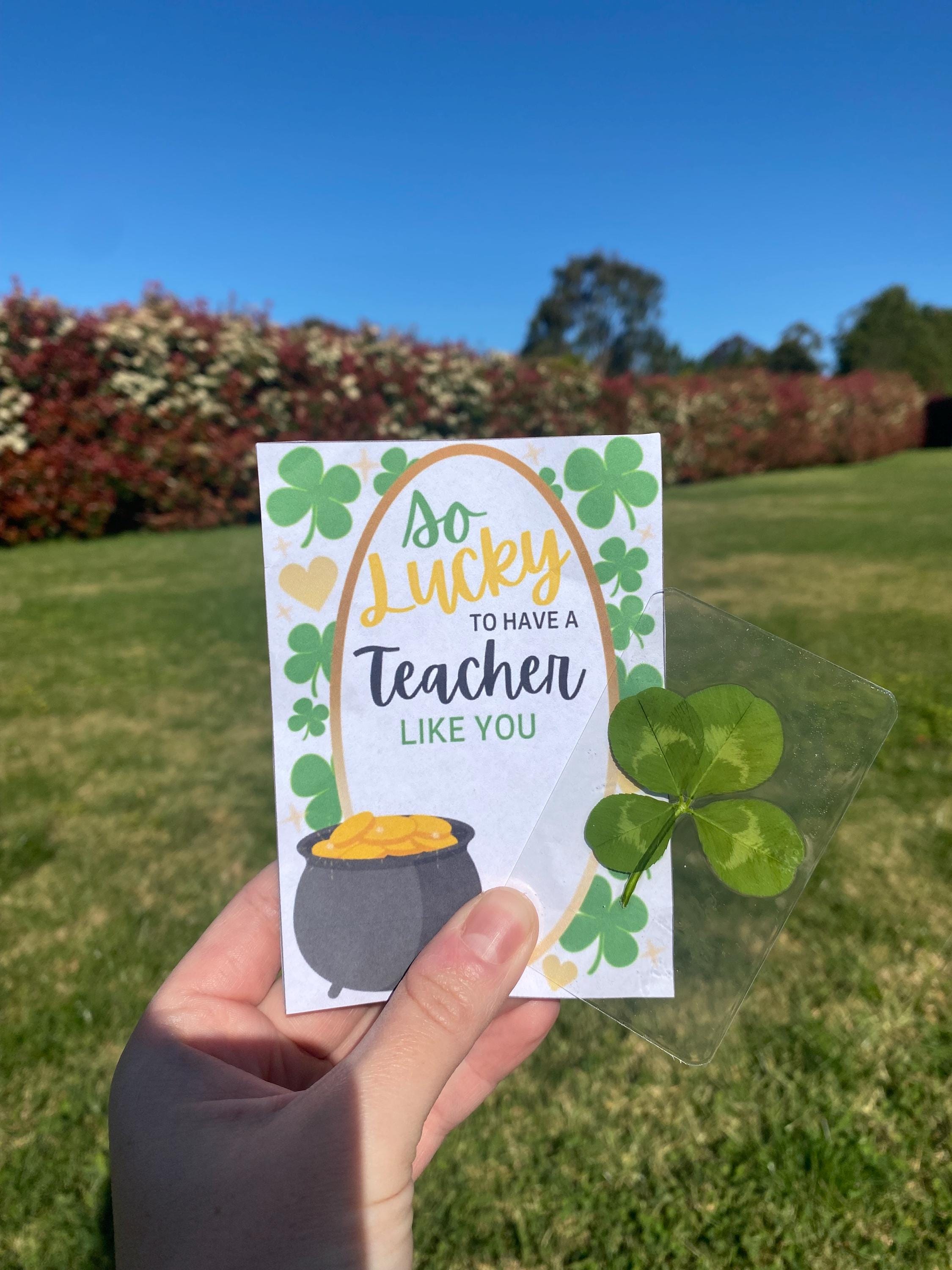 Teacher Appreciation Gift | Genuine Four Leaf Clover | 4 Leaf Clover ...