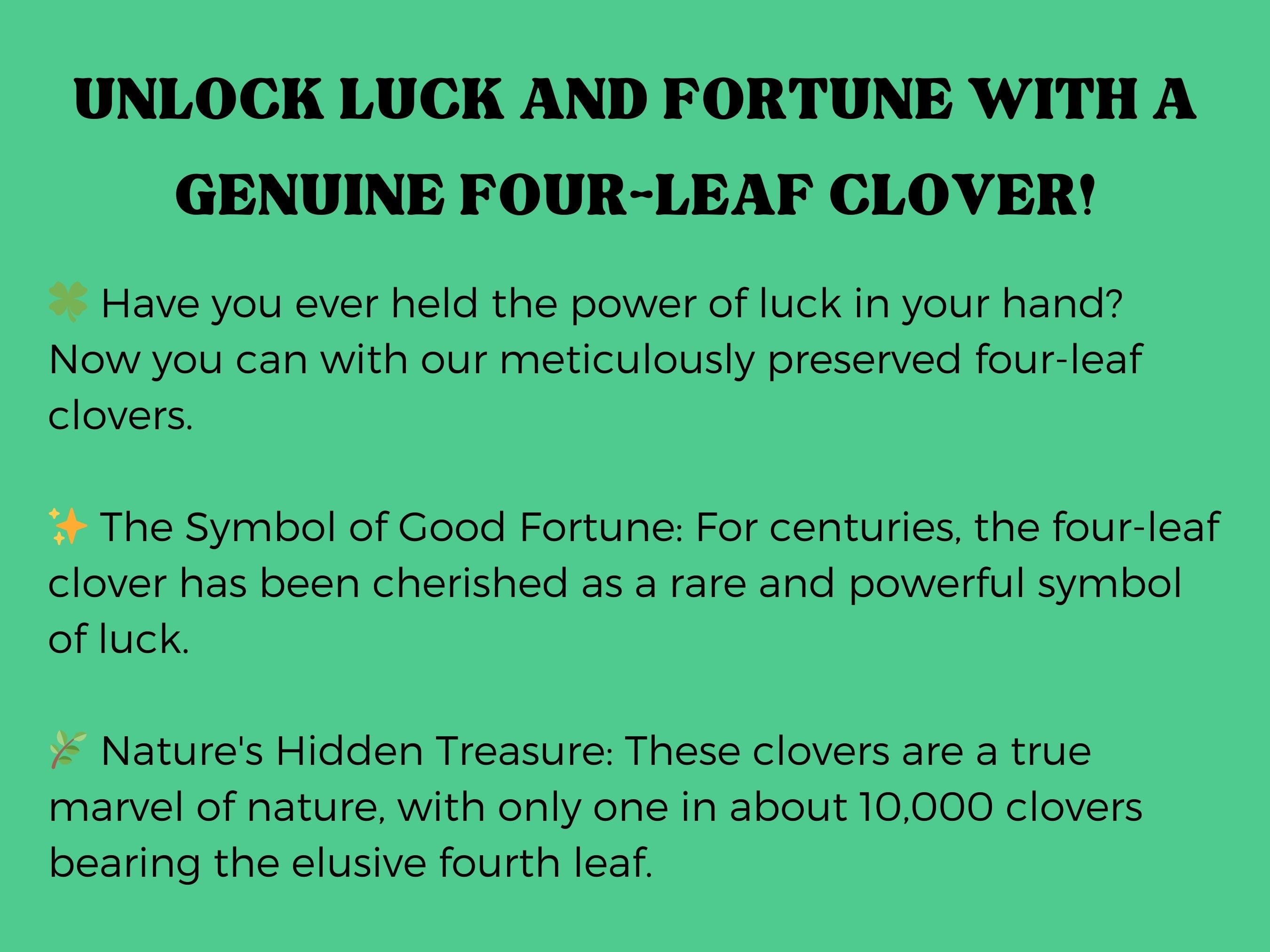 Genuine Four Leaf Clover Shamrock 4 Leaf Clover Wedding Favours ...