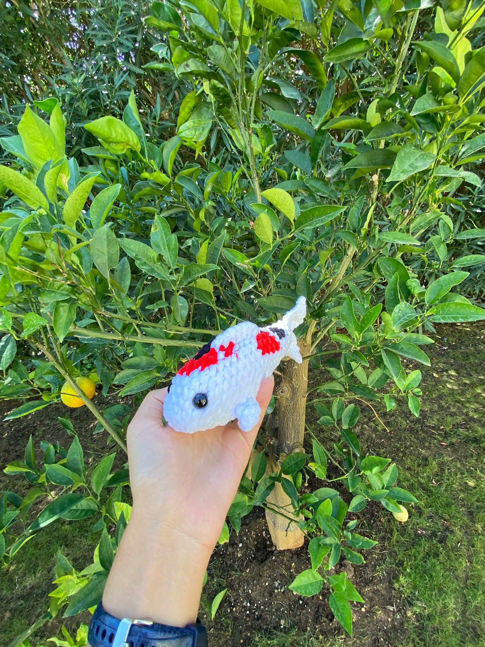 Crochet Koi Fish Cute Koi Fish Plushies 2 Colour Patterns + Customs - Etsy
