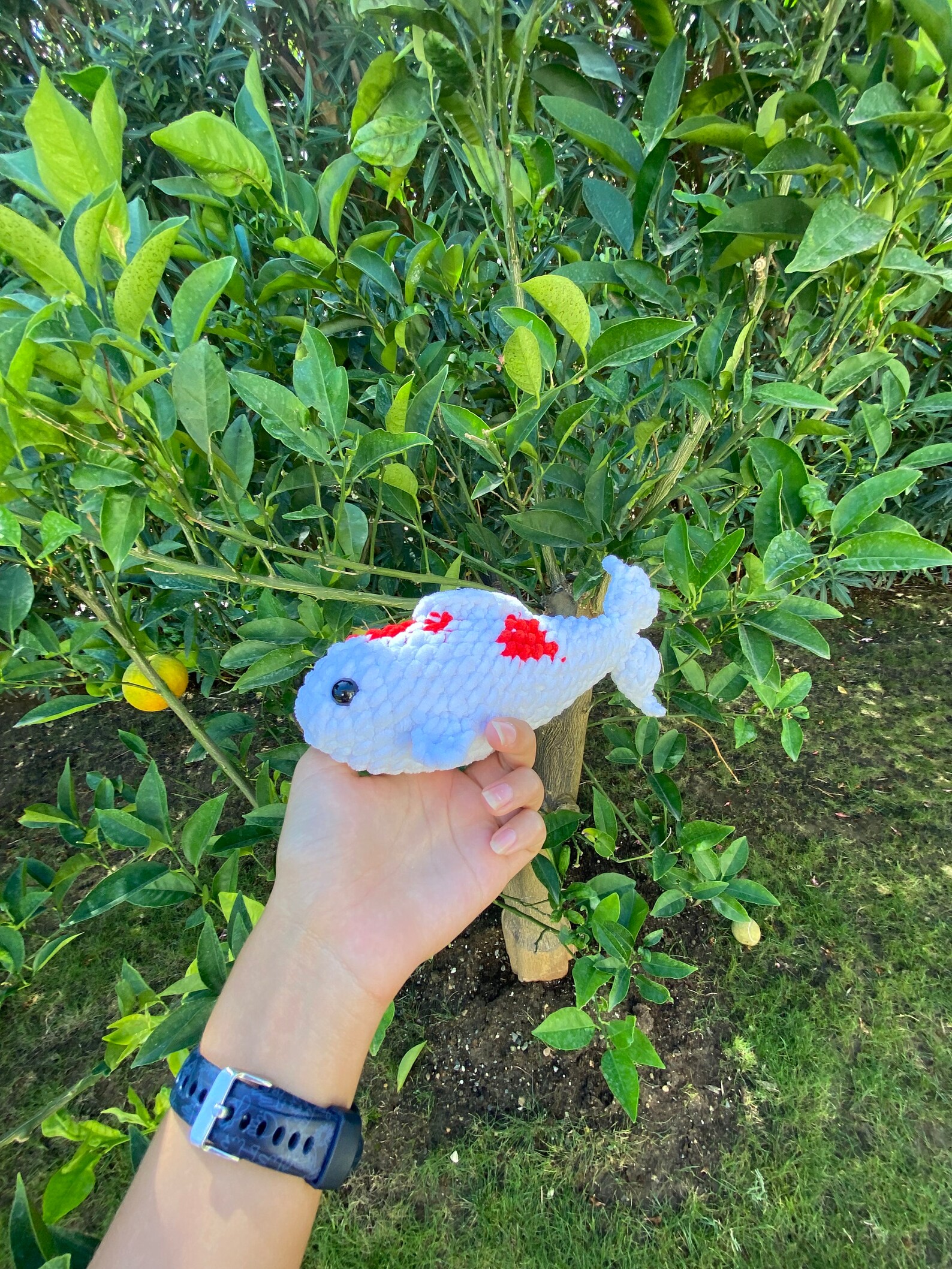 Crochet Koi Fish Cute Koi Fish Plushies 2 Colour Patterns + Customs - Etsy