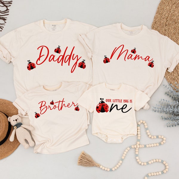 Ladybug 1st Birthday - Etsy