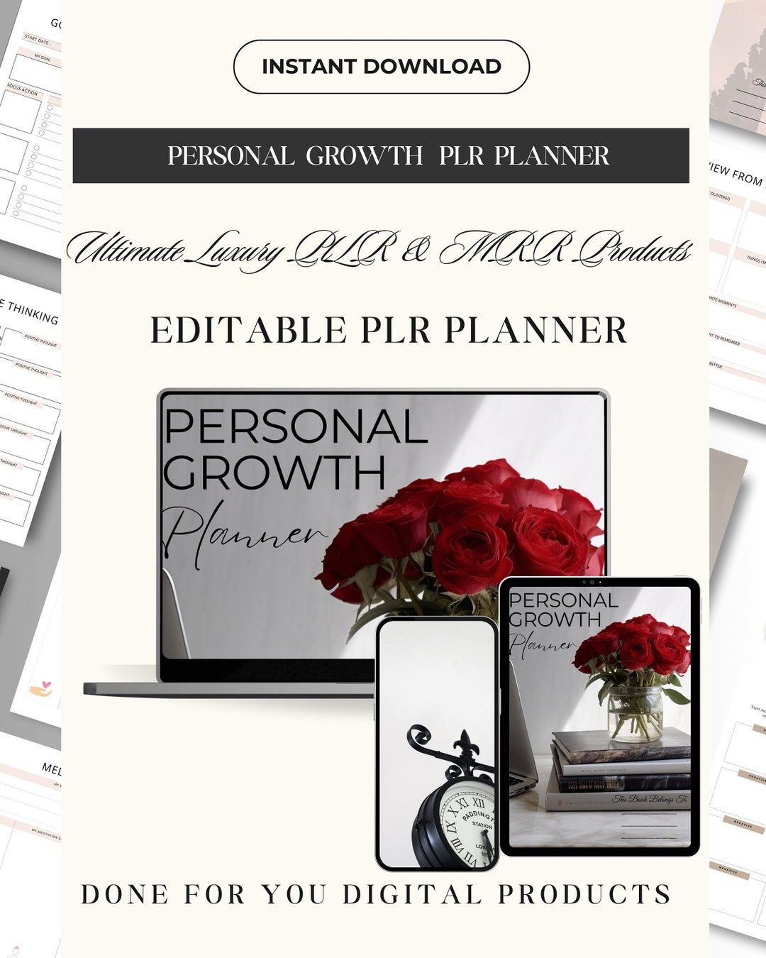 PLR Planner for Personal Growth, Personal Development, Passive Income, PLR Digital Products ...