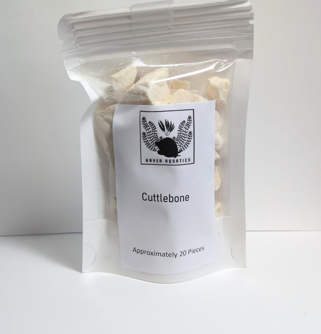 Aquarium Cuttlebone - Supplements for Snails and Freshwater Fish - Etsy