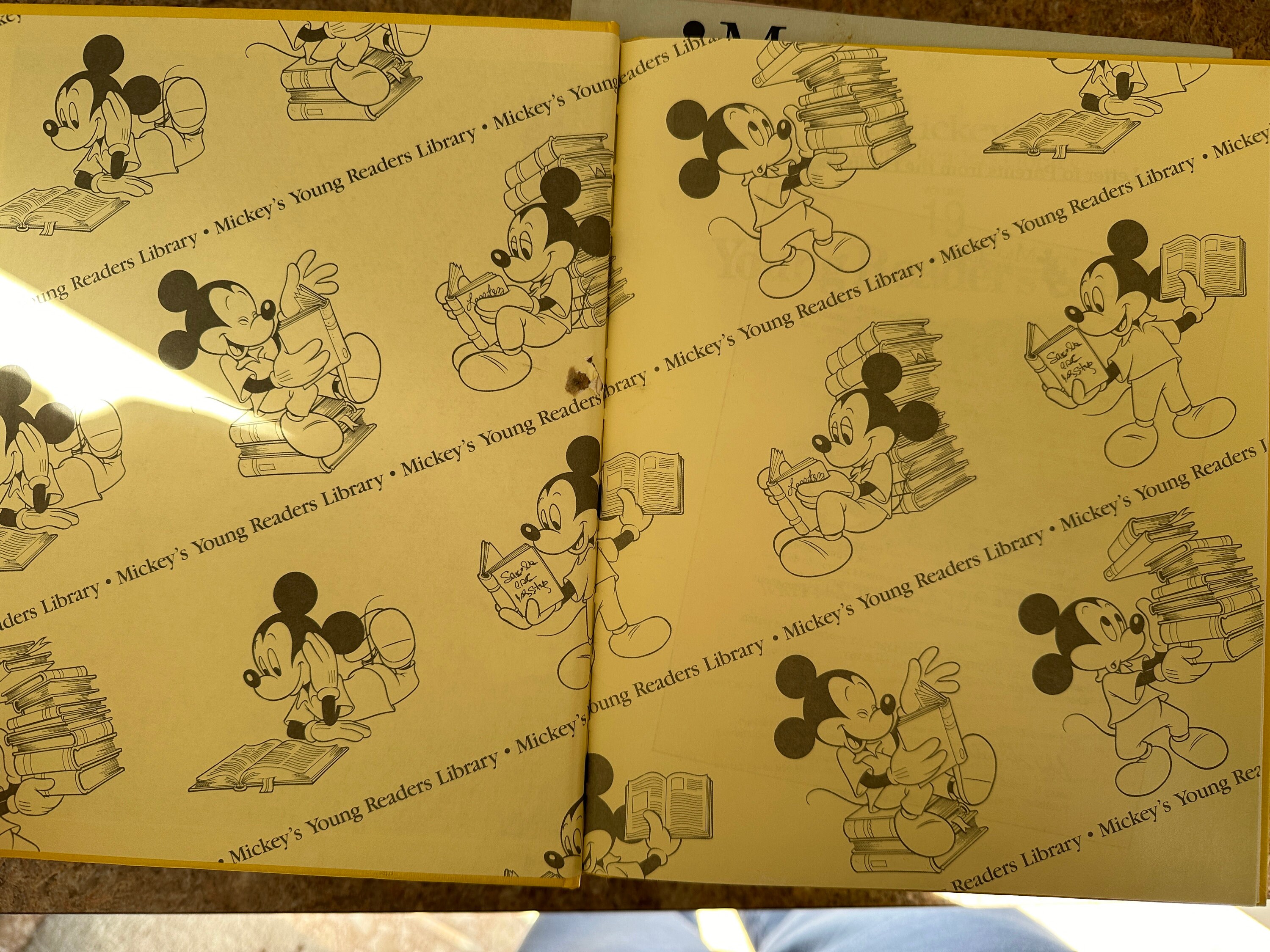 Mickey Mouse Young Readers Library Complete Set Vol 1-19 - Etsy