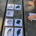 Australian Animal Silhouette Memory Game, Matching Game, Flashcards ...