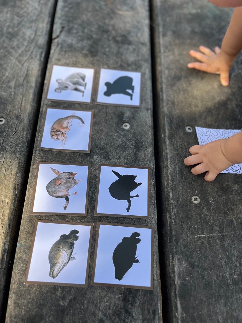 Australian Animal Silhouette Memory Game, Matching Game, Flashcards ...