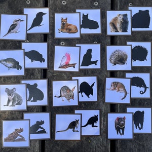 Australian Animal Silhouette Memory Game, Matching Game, Flashcards ...