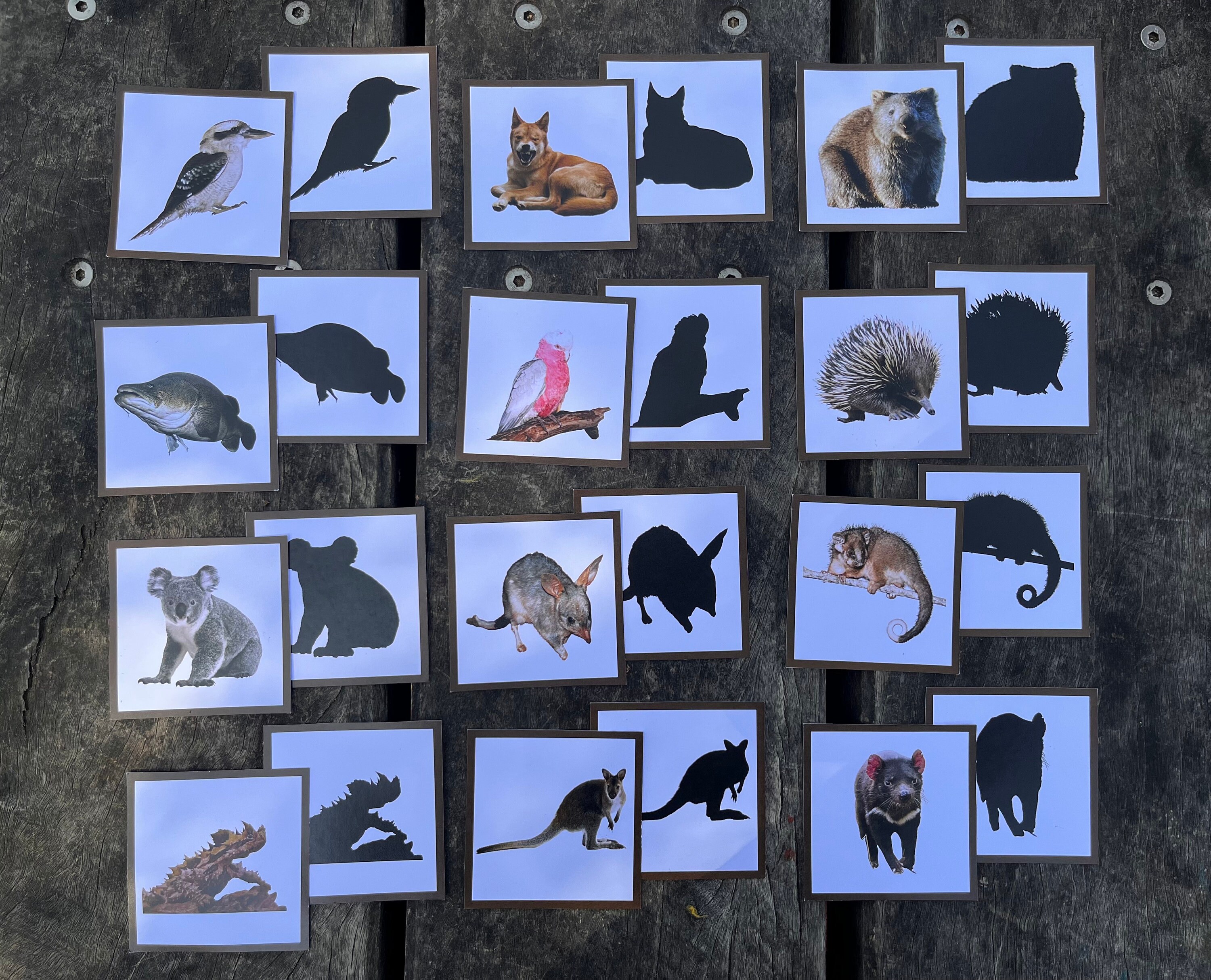Australian Animal Silhouette Memory Game, Matching Game, Flashcards ...