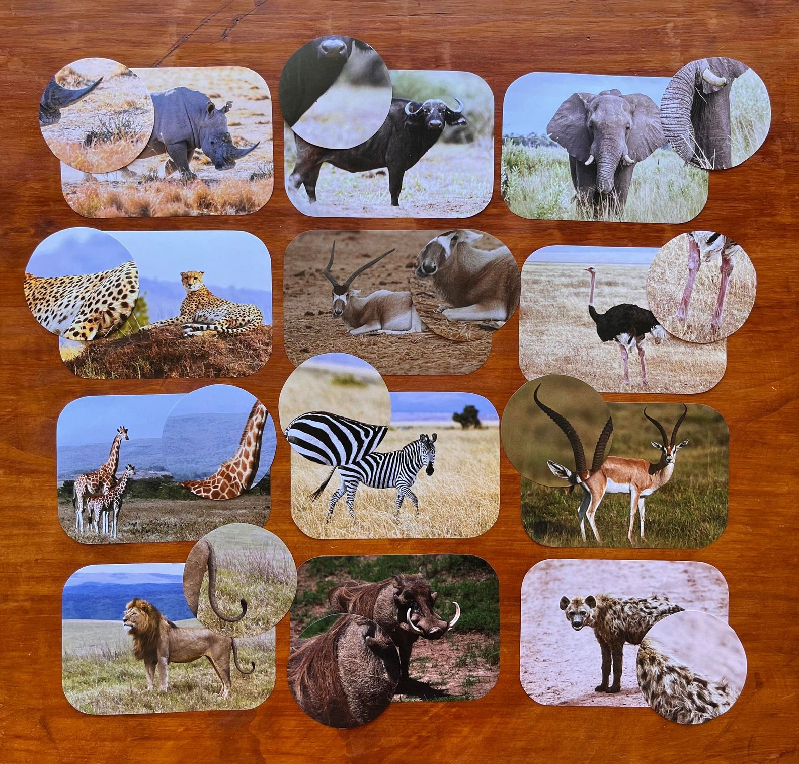 African Animals, Safari Matching Activity, Toddler Game, Memory Game ...